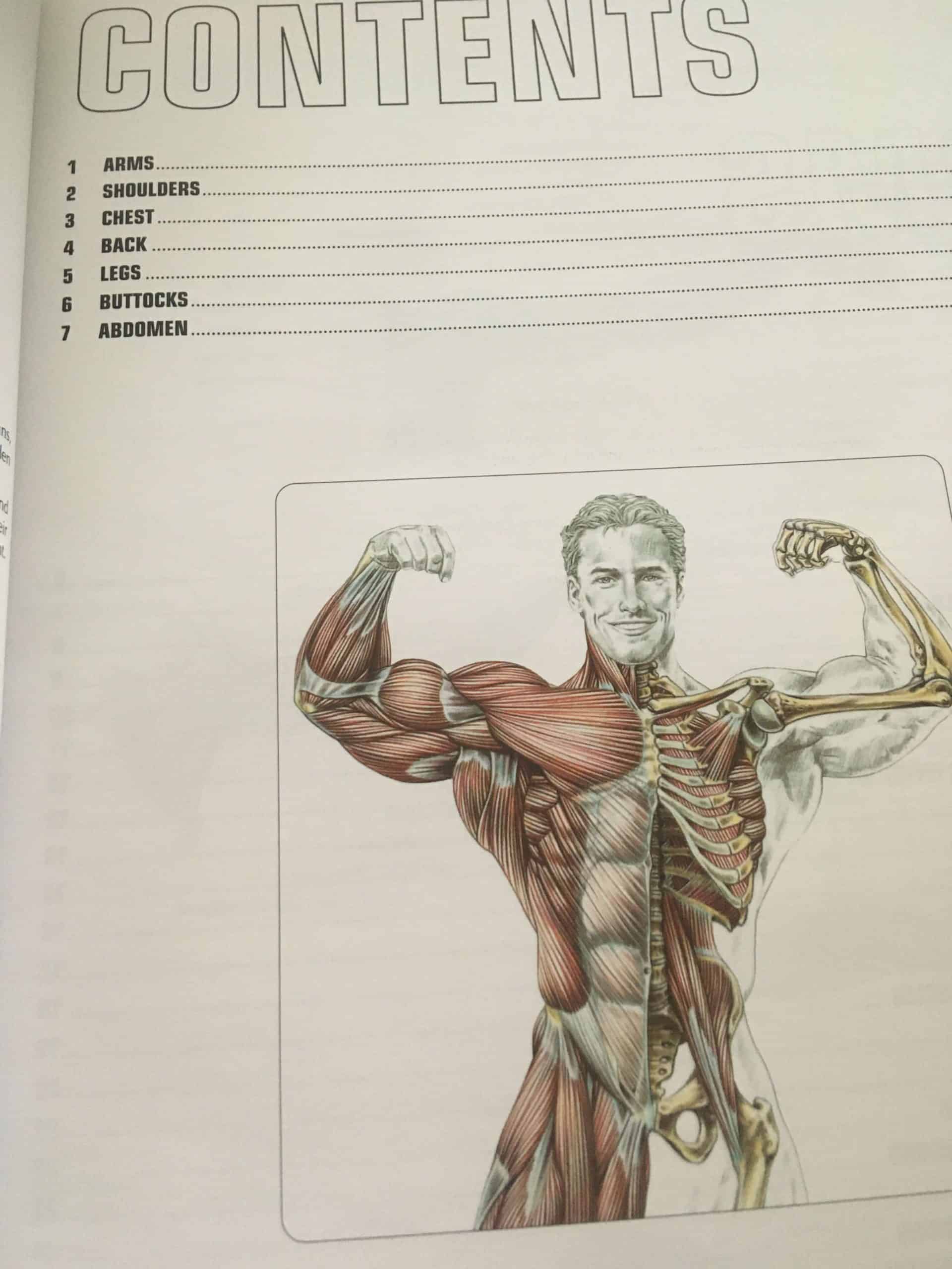 How Can an Ectomorph Get a Six Pack? - Bodies By Byrne